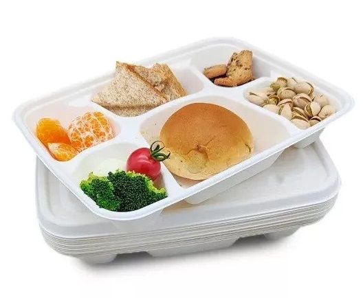 100x Sugarcane Bagasse 6 Compartment Plates Biodegradable Section ...